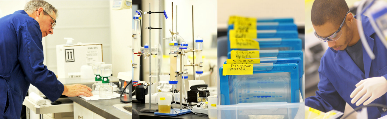 Product & Assay Development | LeeBio.com